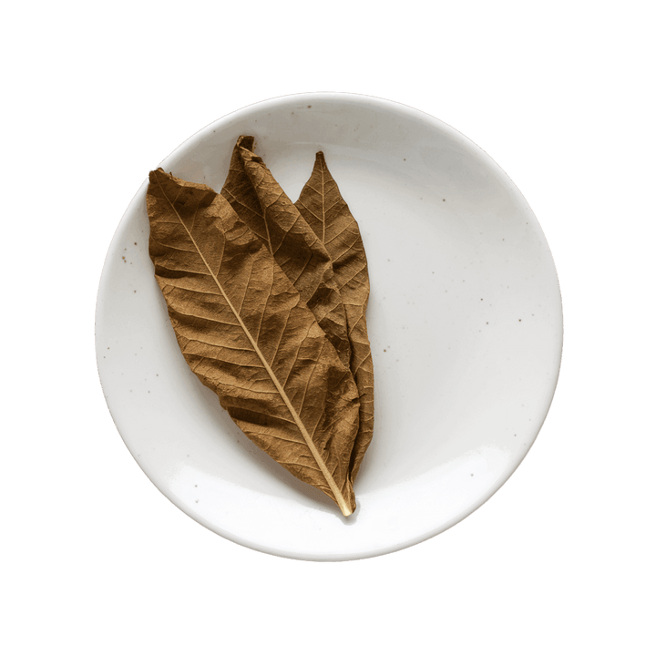 WONZ Technology | WONZ Smoke-Free Alternatives to Cigarettes – Wonz ...