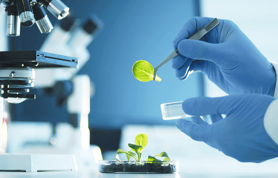 WONZ | Reshaping smoking cessation therapy with digital technology ...