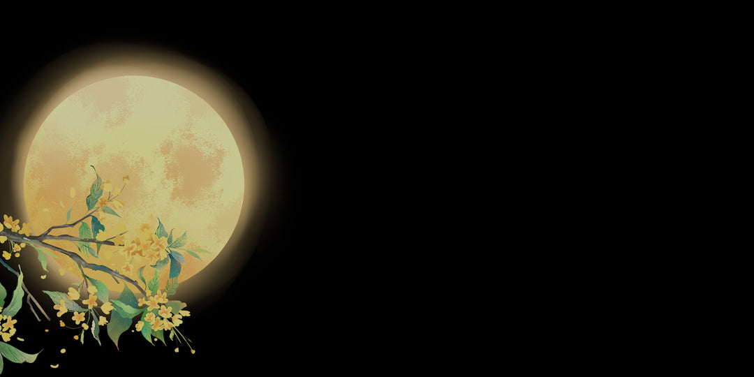 WONZ Technology | WONZ Smoke-Free Alternatives to Cigarettes – Wonz ...